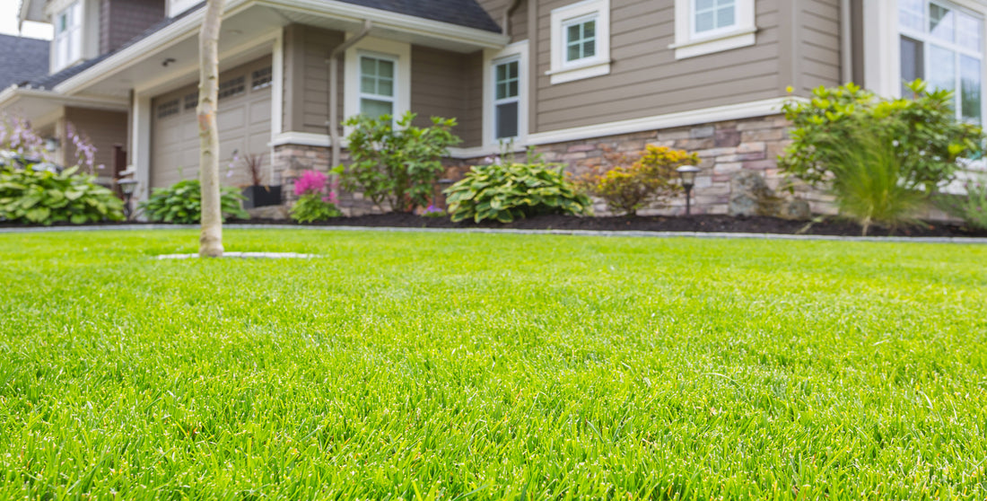 Contact – Wicked Green, Inc.